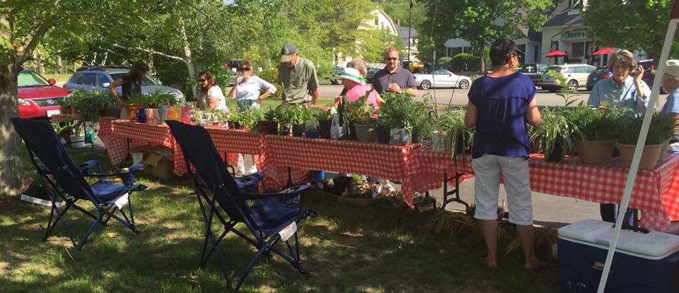 Volunteer with Jackson Community Church – Jackson Community Church